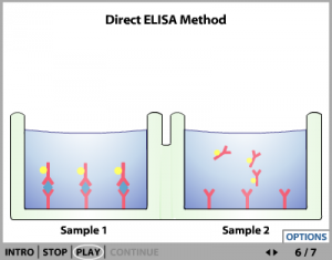 Detecting Gluten in Food: The differences between Lateral Flow and ...